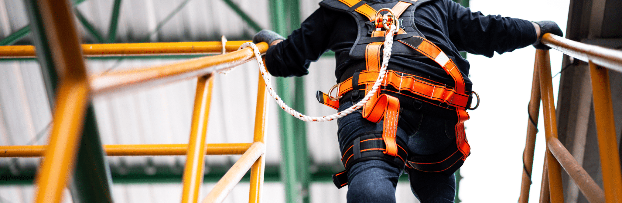 Harness Inspections: Everything You Need to Know - Motion Software