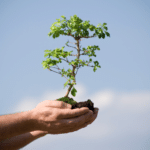 Dedicated Inspection Software - Motion Software